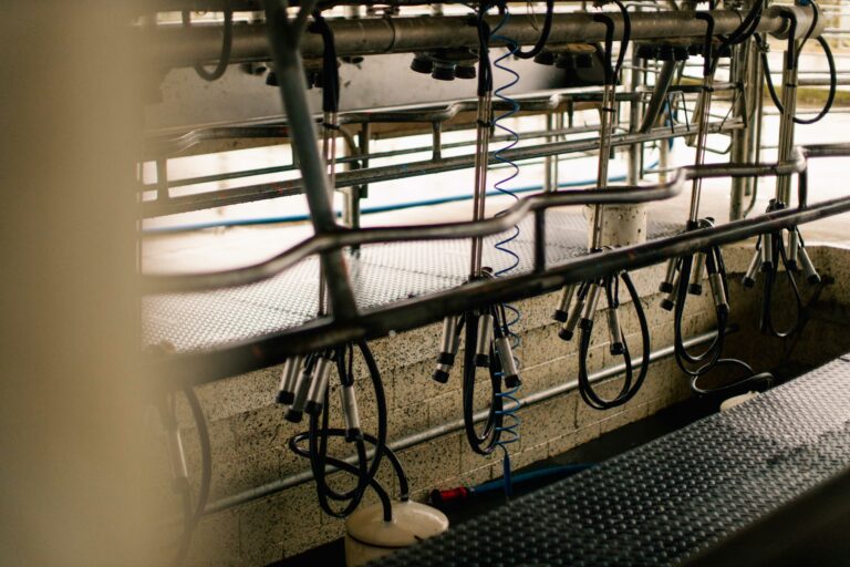 LIC Australia Dairy Cow Breeding Genetics & Complementary Products