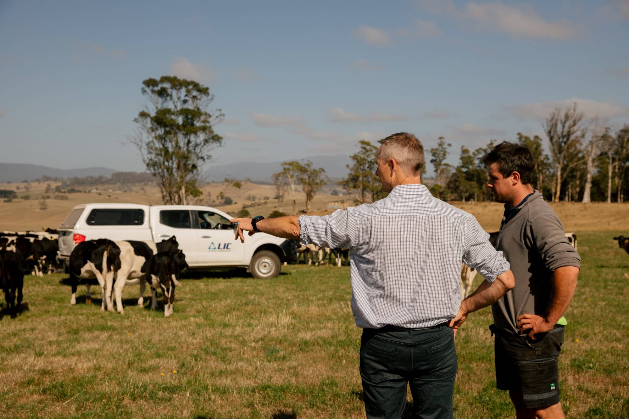 Contact LIC Australia Dairy Cow Genetics Breeding Farm Consultancy & More